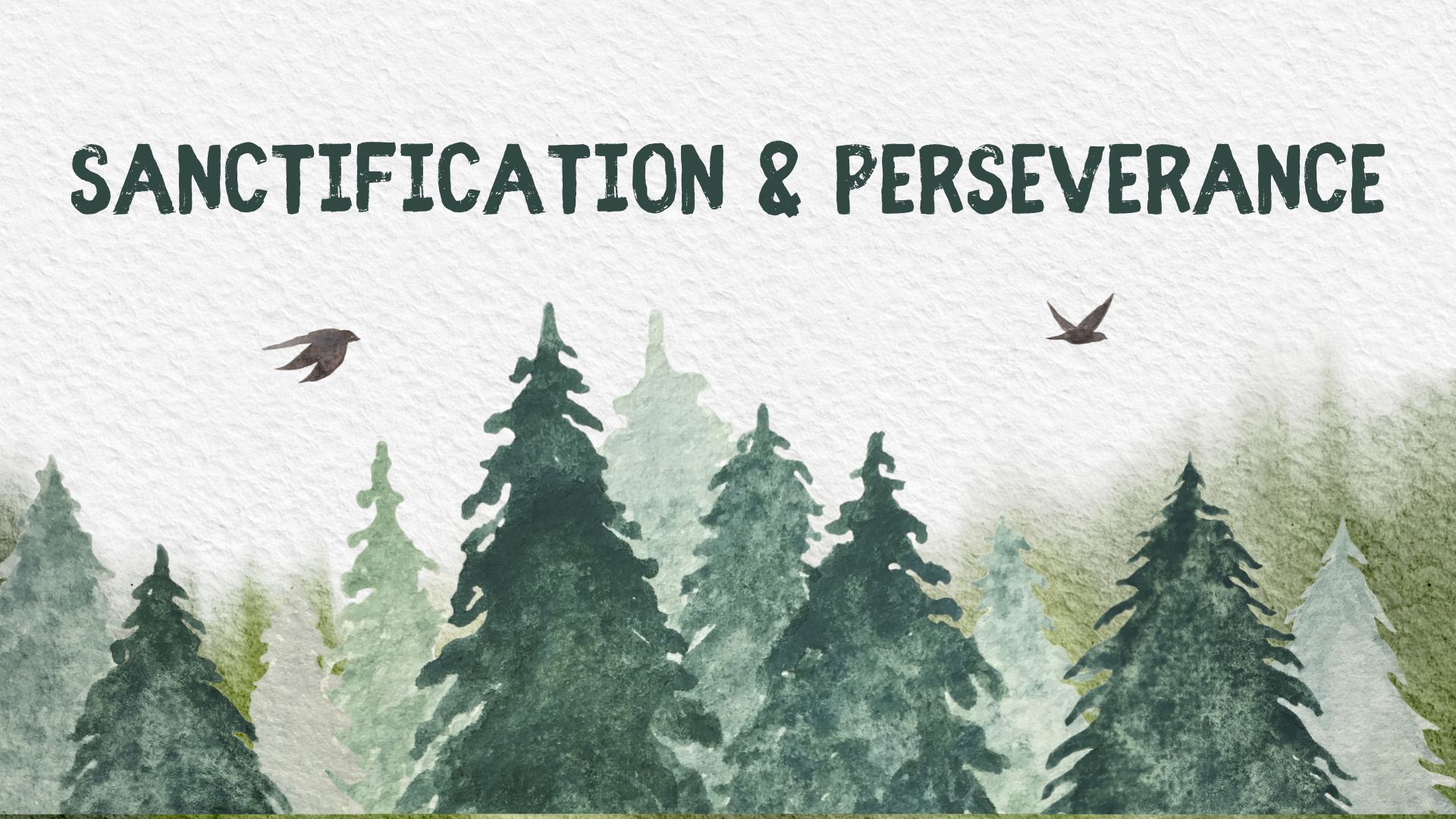 Summary of Christian Doctrine: Sanctification and Perseverance – Reformed Forum